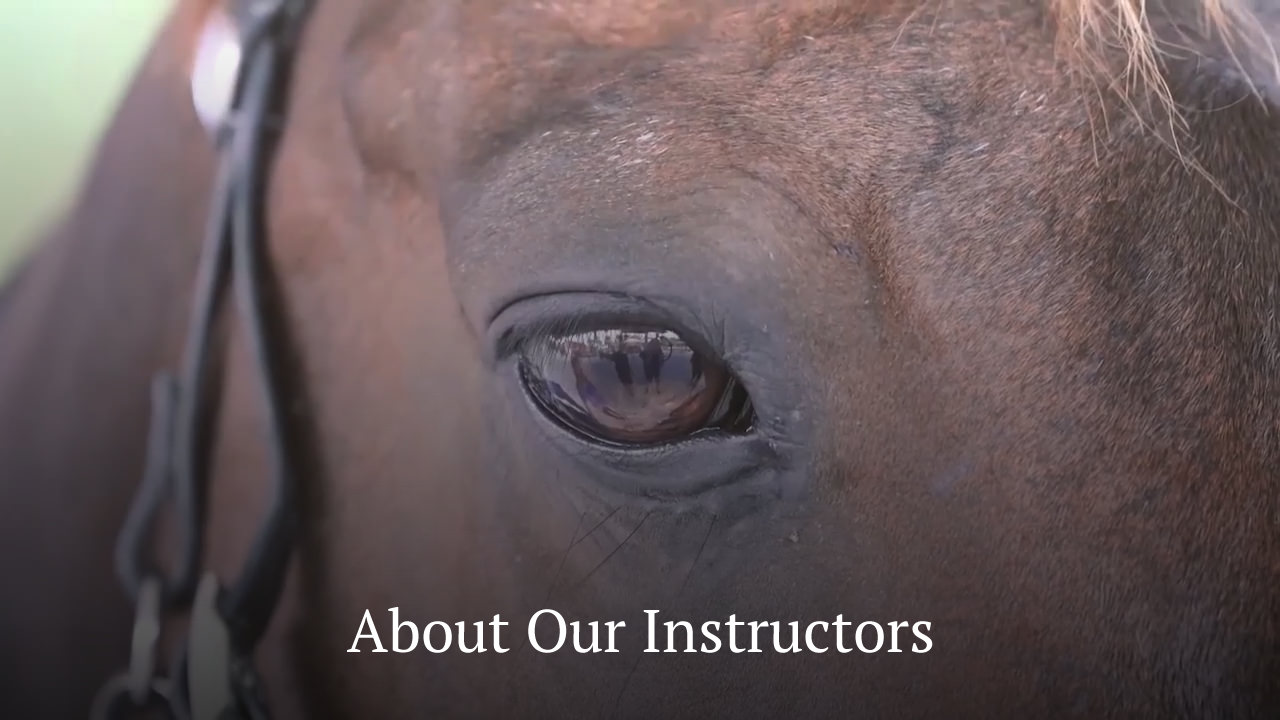 Naples Therapeutic Riding Center – Improving the lives of children and ...