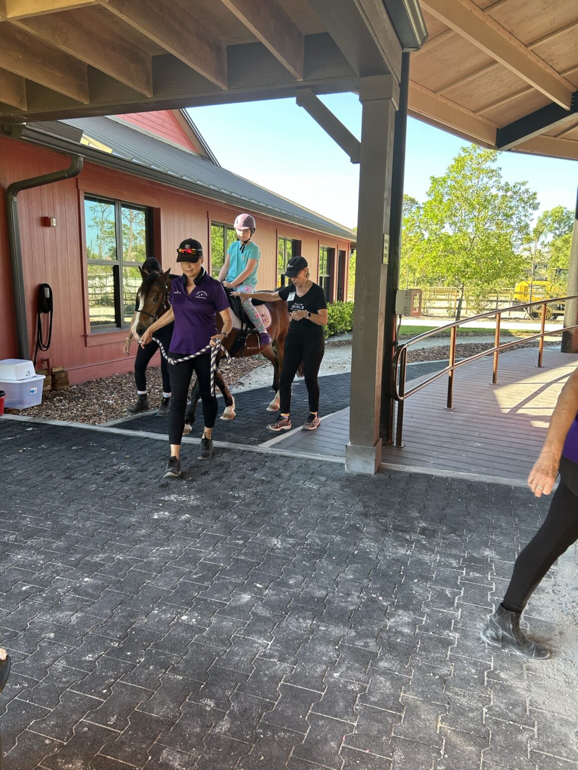 Occupational Therapy with Horses – Naples Therapeutic Riding Center